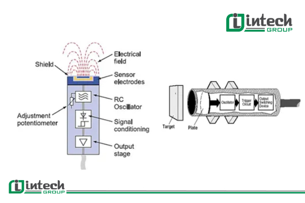 Learn About Proximity Sensors: Principle, Applications and Importance ...